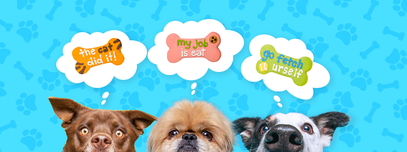 Bosco and Roxy's Gourmet Dog Cookies