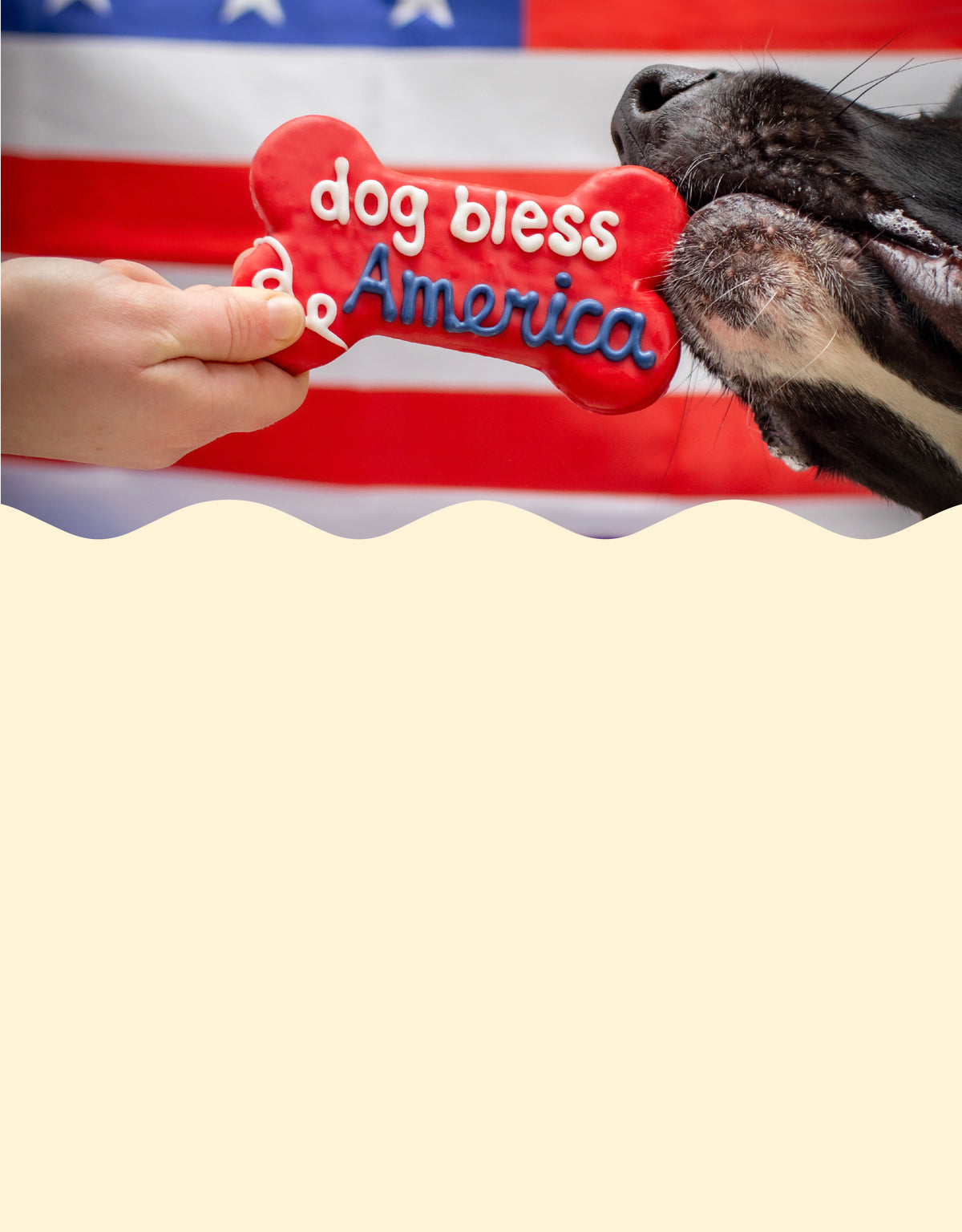 Bosco and Roxy's | Gourmet Dog Cookies