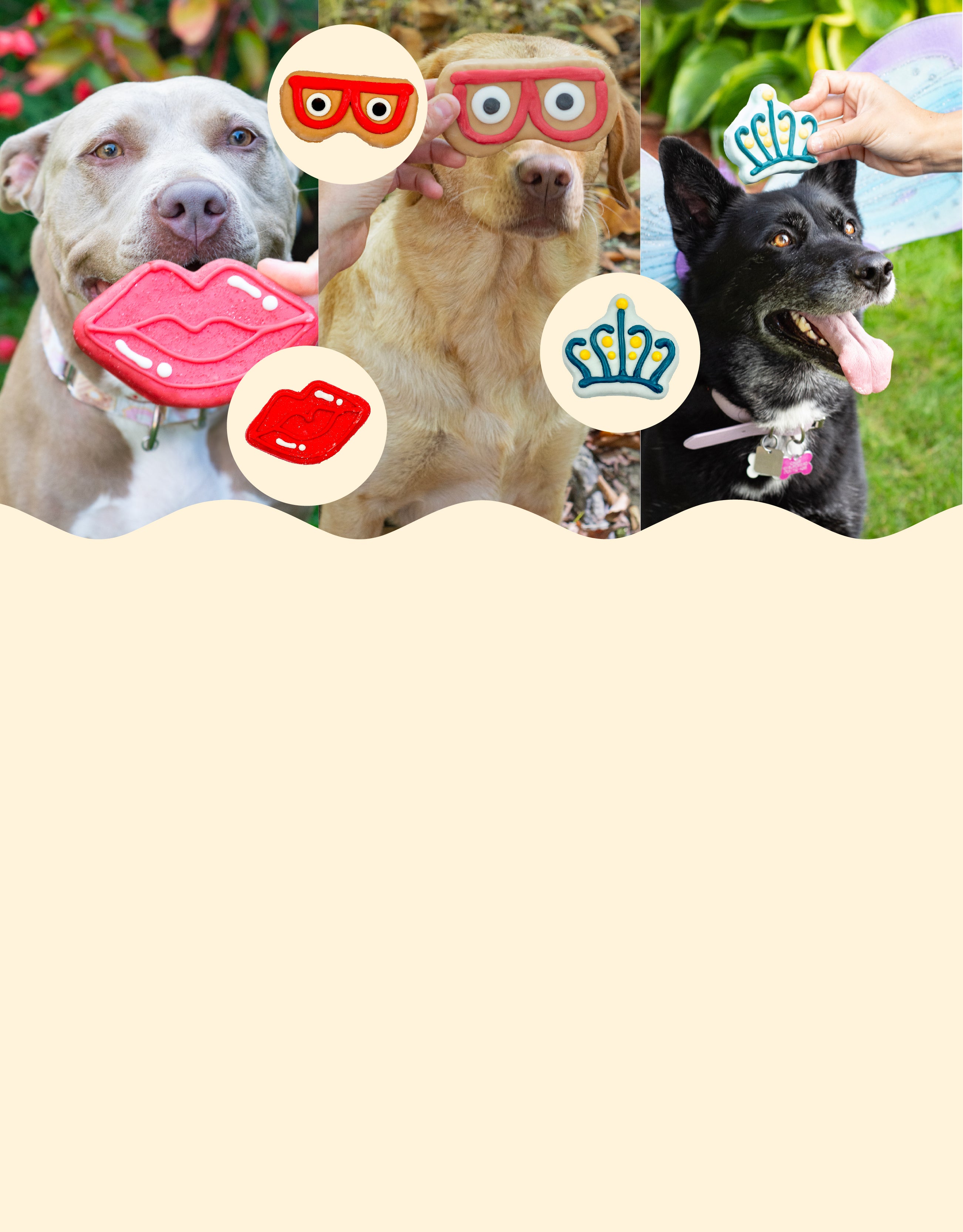 Bosco and Roxy's Gourmet Dog Cookies