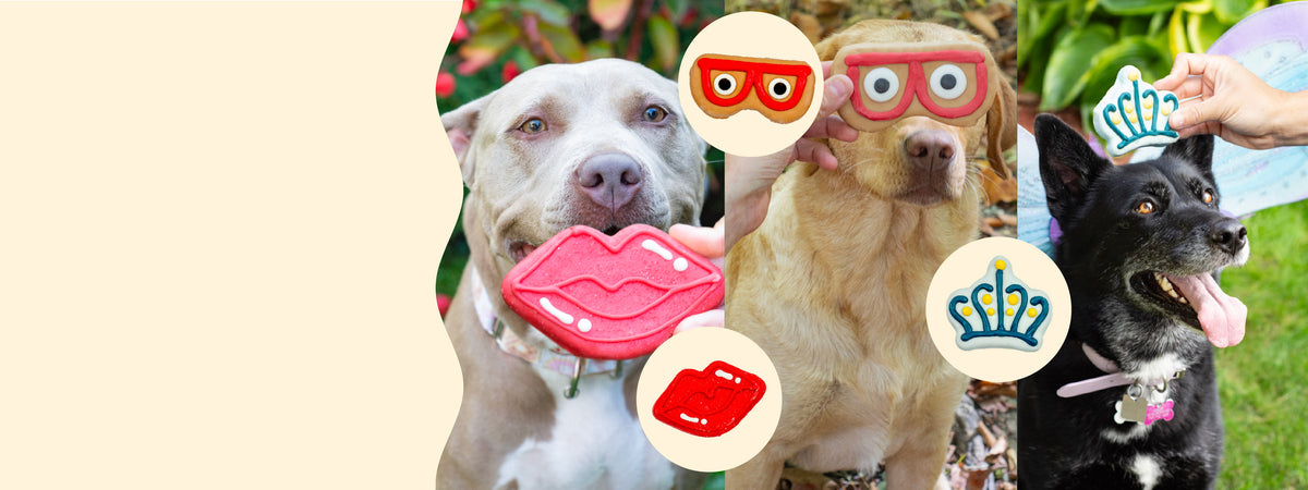 Bosco and Roxy's Gourmet Dog Cookies