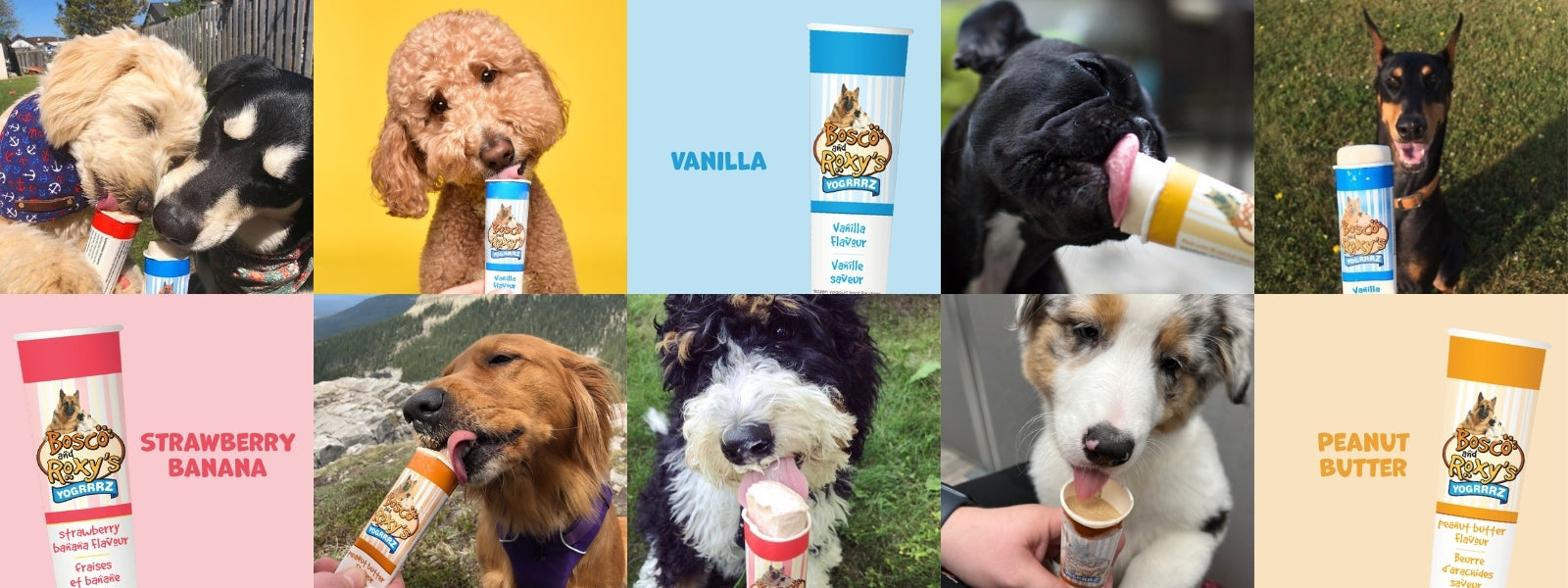 Where to Buy - Bosco and Roxy's Inc.